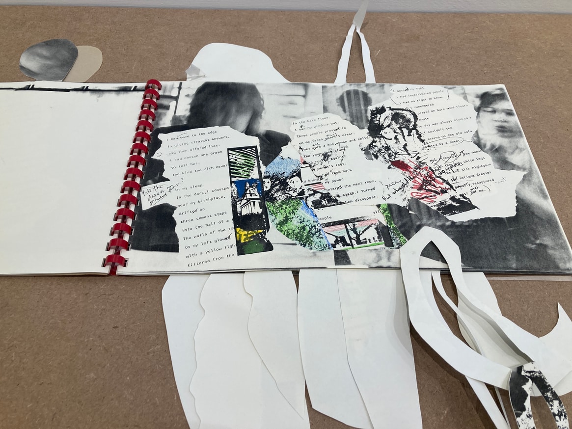 Coco Gordon and Barbara Roux - Cut Book (The Opaque Glass : A Poem by ...