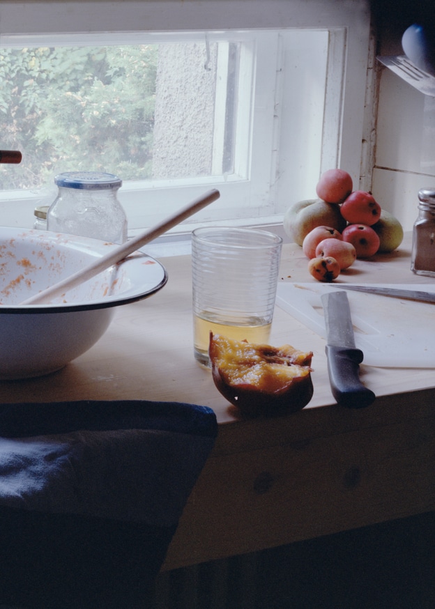 Danny Licht and Laura Letinsky - Cooking As Though You Might Cook Again ...