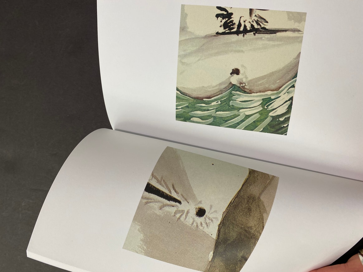 Jonas Kyle - PIcasso's Assholes - Printed Matter