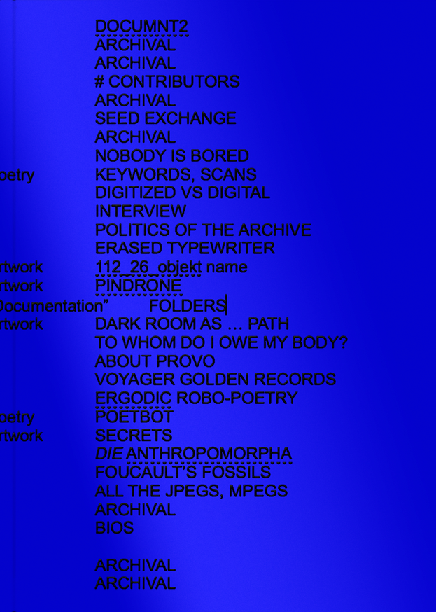 Matt Arnold and Anne Lippert - DOCUMNT 2 - Printed Matter