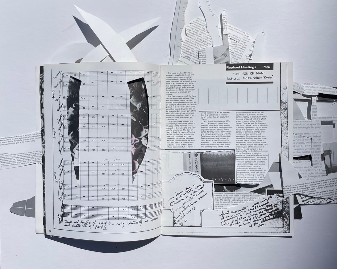 Coco Gordon - Flue [Cut Book] - Printed Matter