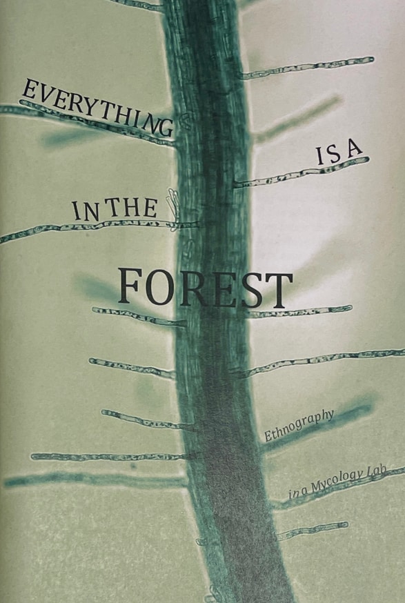 Wenjing Yu - Everything in the forest is a forest - Printed Matter
