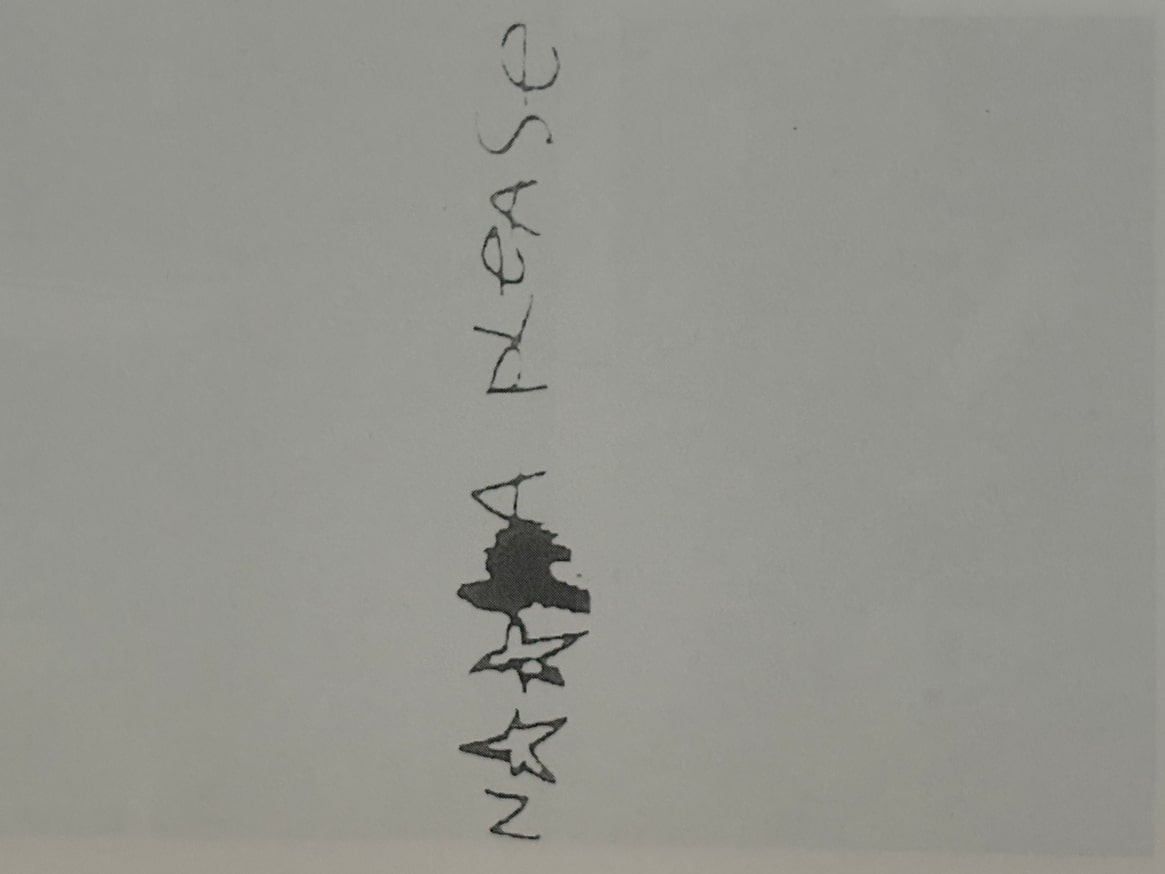 Yusuf Hassan - Nigga Please - Printed Matter