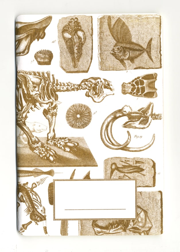 Oswaldo García - Field Journal - Printed Matter