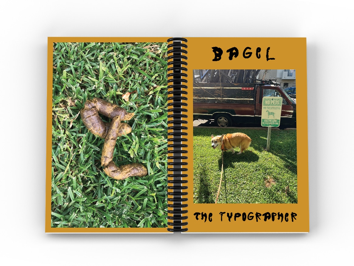 Yuri Ogita - Shit Type - Printed Matter