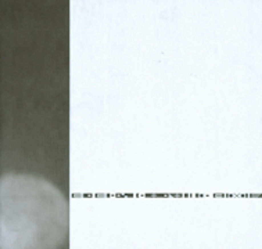 Barbara Ess and Maximilian Goldfarb - 2-UP - Printed Matter