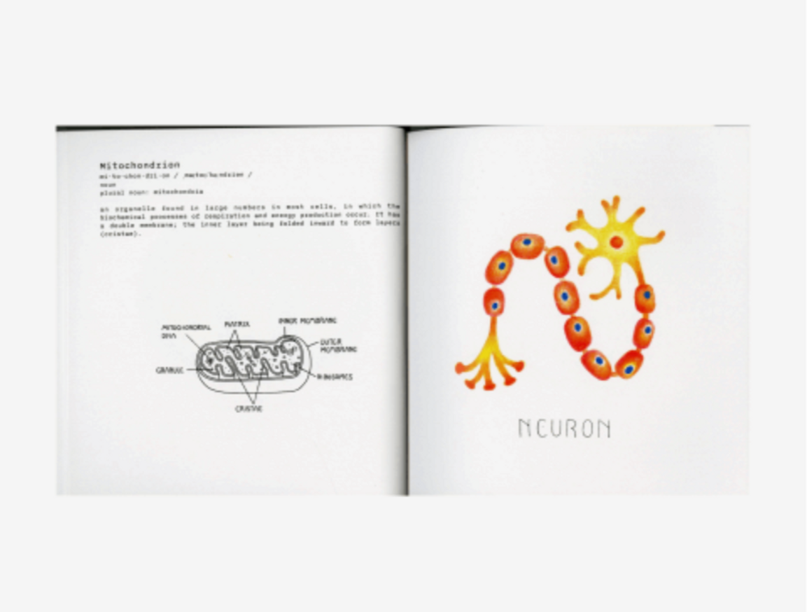 Ada Zejun Shen - Biophabet Book - Printed Matter