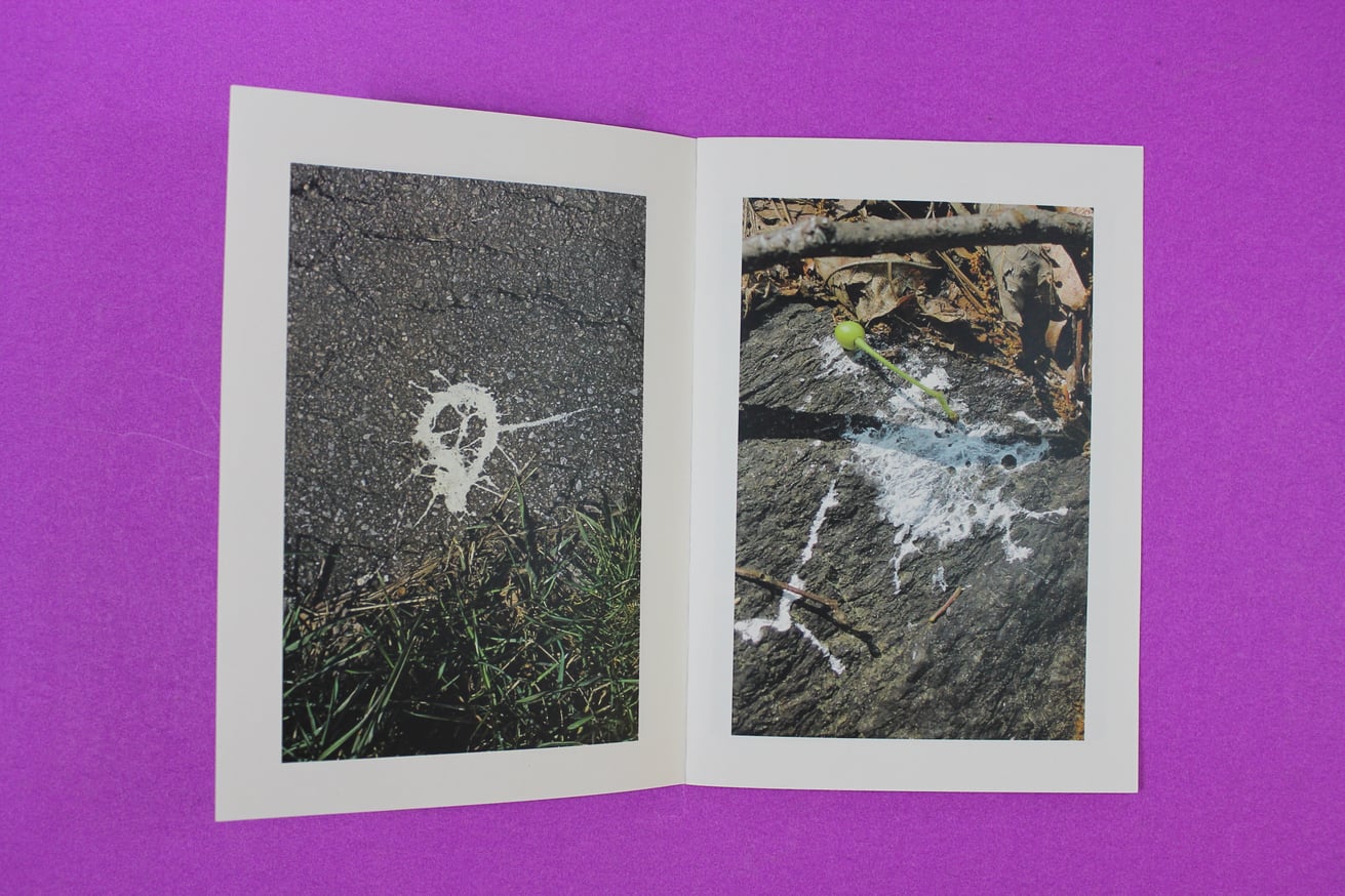 HUNDEFAENGER KRD - shit art by birds (antipodes 009) - Printed Matter