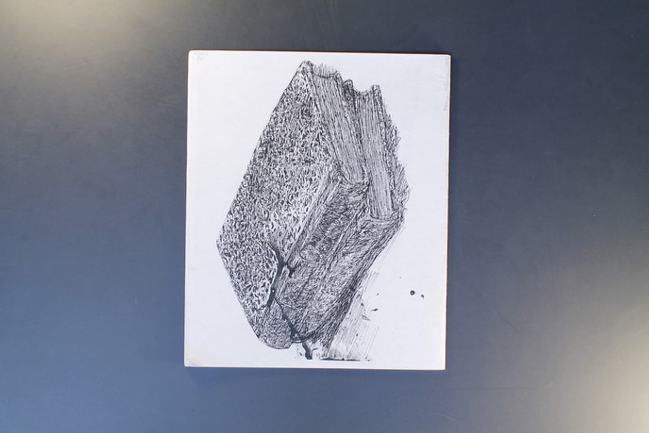 Peter LaBier - Disjecta Membra - Printed Matter