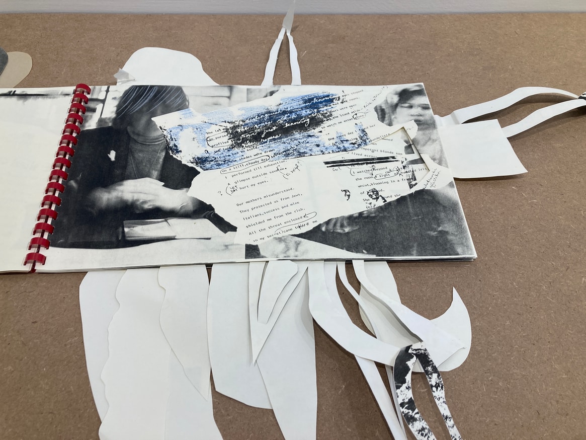 Coco Gordon and Barbara Roux - Cut Book (The Opaque Glass : A Poem by ...